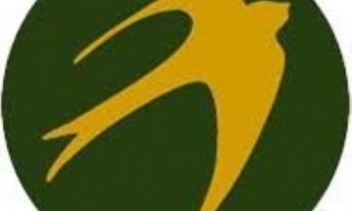 The Alliance Multi Academy Trust - Connaught Junior School Newsletters